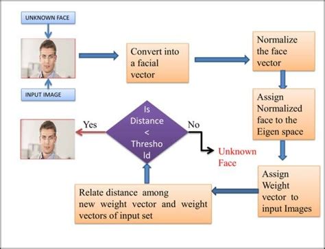 Principal Component Analysis Method Download Scientific Diagram