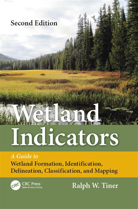 Wetland Indicators A Guide To Wetland Formation Identification