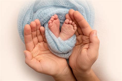 아버지의 손바닥 어머니는 파란색 담요에 신생아의 발을 잡고있다 부모의 손바닥에 신생아의 발 아이의 발가락 발 뒤꿈치와 발의 스튜디오 사진 3 명에 대한 스톡 사진 및 기타