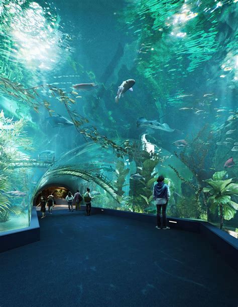 Khai trương Thủy cung Lotte World Hà Nội vào ngày 01/08