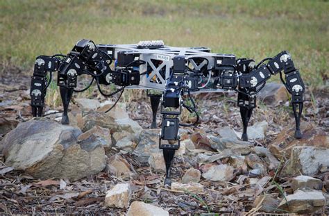 weaver hexapod robot with 5dof limbs for navigating on unstructured