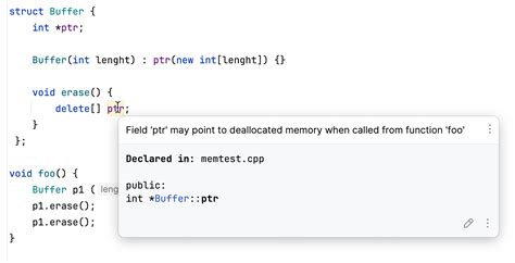 Inspection Memory Leak Clion Documentation