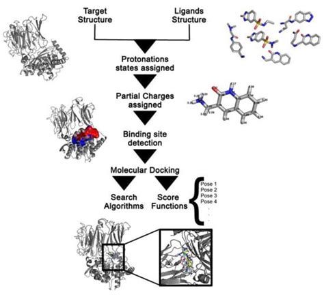 Molecular Docking Md 인코덤 생물정보 전문위키