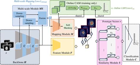 Figure 2 From Maprotonet A Multi Scale Attentive Interpretable