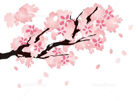 【50】 素材 木 枝 イラスト ~ 無料の印刷可能なイラスト画像