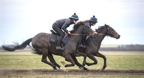 Pre Training Pt Nearco Racing Management