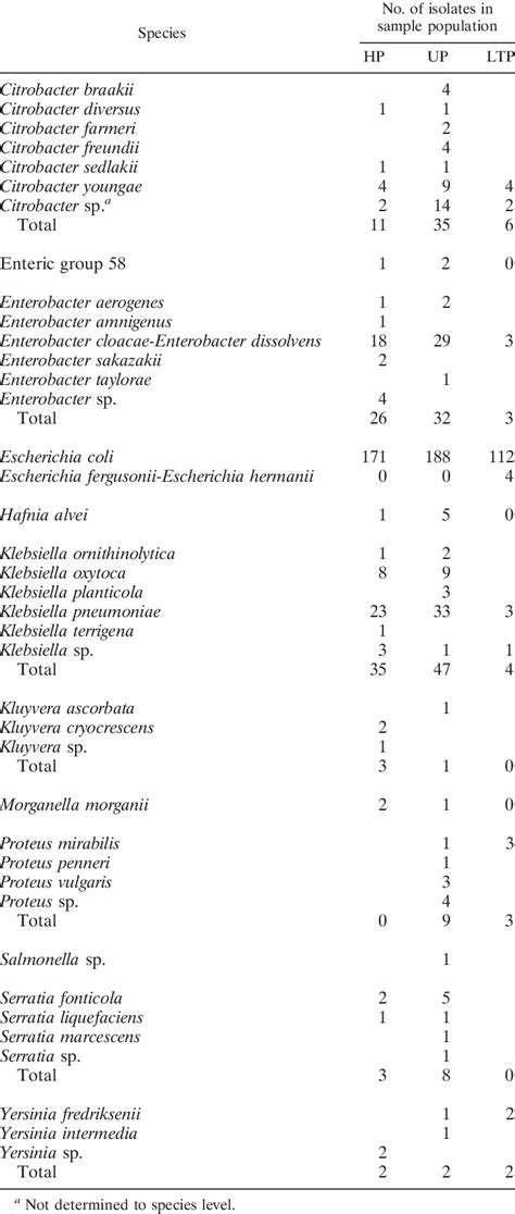 Identity Of Bacterial Isolates Download Table