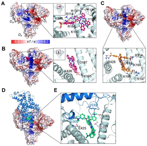 Binding Modes Of The Phthalocyanines With Hsa A Binding Mode Of Download Scientific Diagram
