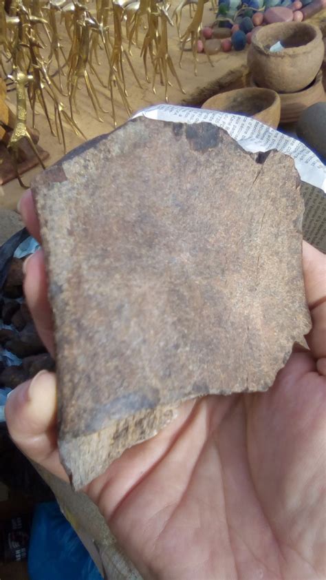 Could This Be A Bone Fossil ID The Fossil Forum