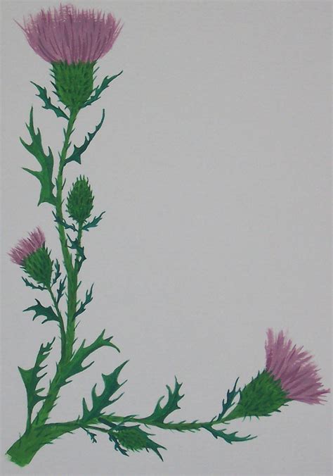 Scottish Thistle Graphic At Russell Canter Blog