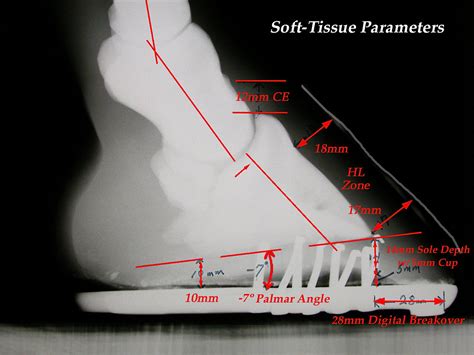 Interpreting Soft Tissue Parameters And Lesions