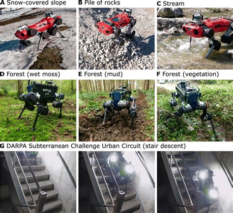 learning quadrupedal locomotion over challenging terrain science robotics