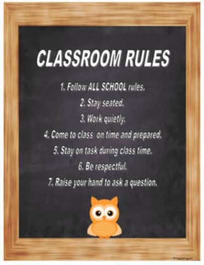 Classroom Rules Posters Back To School Bulletin Board Owl Theme