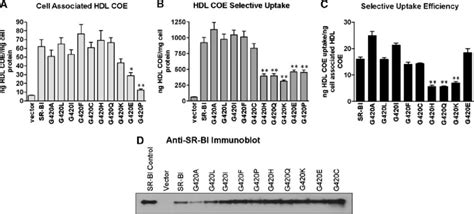cell associated hdl selective hdl cholesteryl oleyl ether coe