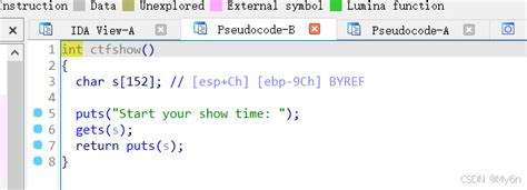 Ctfshow Pwn 栈溢出（pwn47）ctfshow Pwn入门 Pw47 Csdn博客