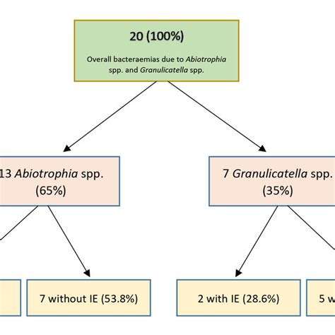 Distribution Of Bacteraemias By Abiotrophia Spp And Granulicatella Spp Download Scientific