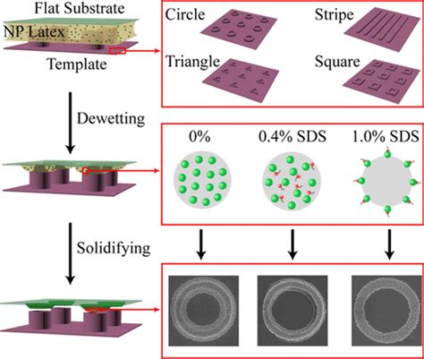 Surfactant Tunable Nanoparticle Assembly Via A Template Directed Strategy Langmuir