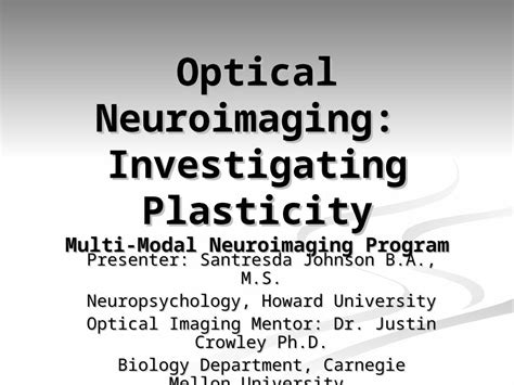 ppt optical neuroimaging investigating plasticity multi modal