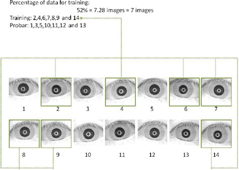 Figure 1 From Modular Granular Neural Networks Optimization With Multi Objective Hierarchical