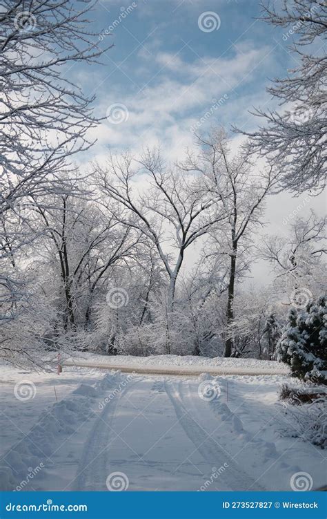 A Snow Covered Driveway Has Some Trees And Snow On It Stock Image Image Of Frosty Snowshoe