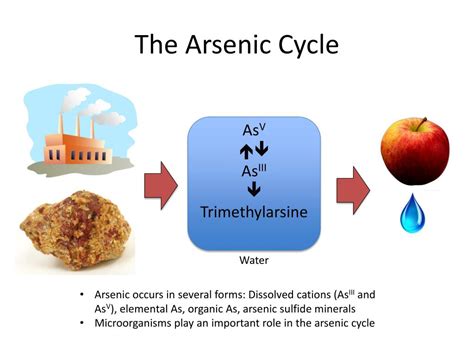 Ppt Bioremediation Of Arsenic Contaminated Water Powerpoint