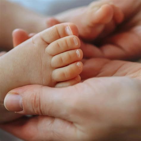 Rory En Lorelai Hebben Na Zes Jaar Een ‘gilmore Girls Reünie Lindanl