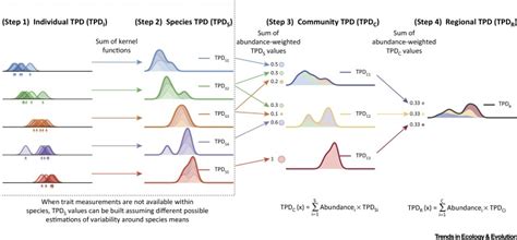 Traits Without Borders Integrating Functional Diversity Across Scales Trends In Ecology