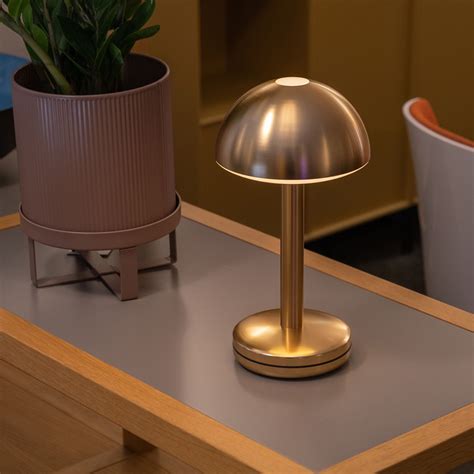 Bug Gold Humble Lights