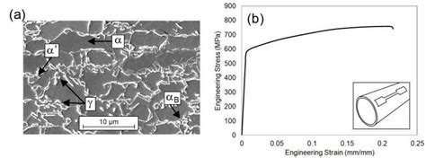 A Trip690 Base Metal Microstructure Ferrite Retained Austenite