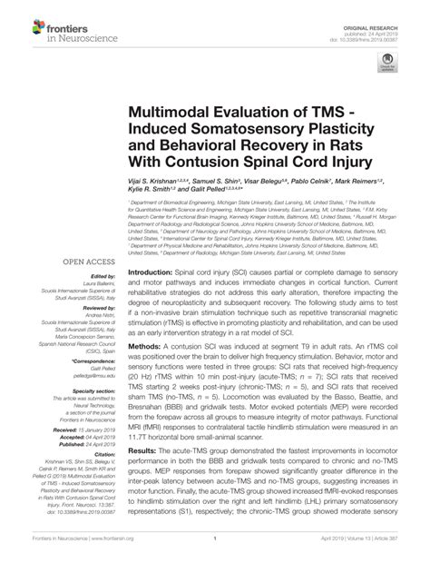 Pdf Multimodal Evaluation Of Tms Induced Somatosensory Plasticity And Behavioral Recovery In