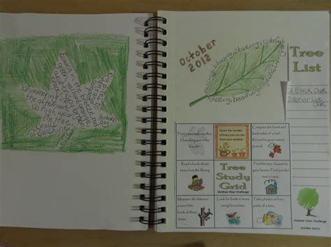 Outdoor Hour Tree Grid Another Oak And Acorn Study Homebabe Nature Study