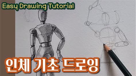 인체 기초 드로잉 [drawing Tutorials 그림 독학 그림 잘 그리는법 명암 7] Youtube