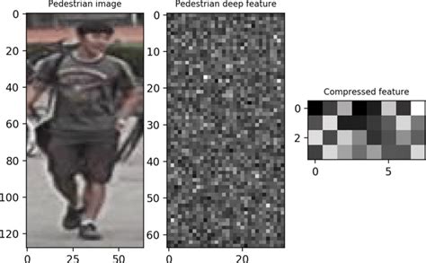 the example of dimensionality reduction for pedestrian image download