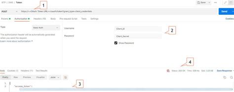Explore Sap Btp Dms Rest Apis