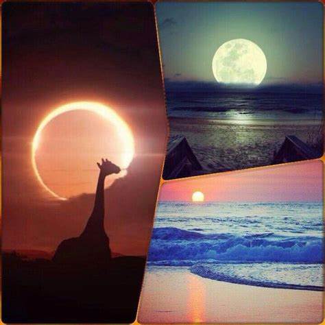 Pin De Maria Beatriz En Luna Luna