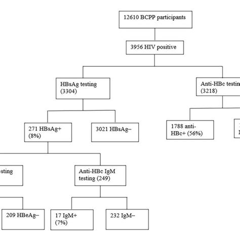 Hbv Markers Screening Algorithm Download Scientific Diagram