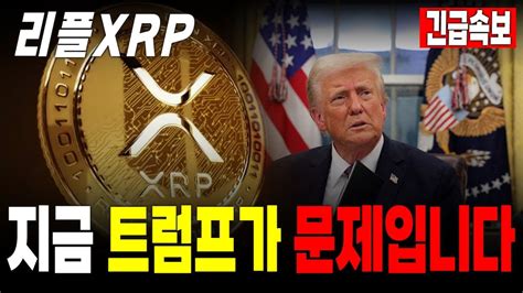 리플 전망 엑스알피가 문제 있는게 아닙니다 트럼프가 문제입니다 리플 Xrp 엑스알피 Sec 리플소송 코인의대가 갈링하우스 리플스테이블코인 트럼프