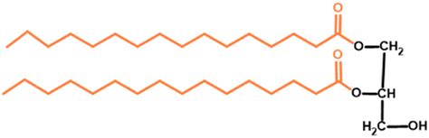 Role Of Globotriaosylceramide In Physiology And Pathology Pmc