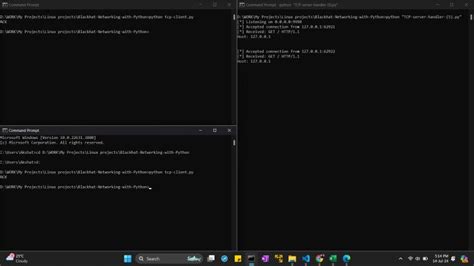 Python Cybersecurity Penetrationtesting Coding Networking