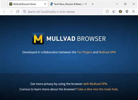 Mullvad Browser: Secure web browser for enhanced privacy - Neowin
