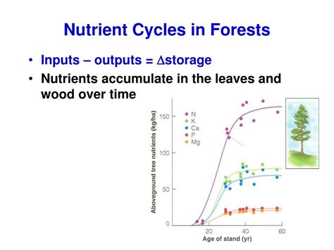 PPT Nutrient Cycles PowerPoint Presentation Free Download ID 721864