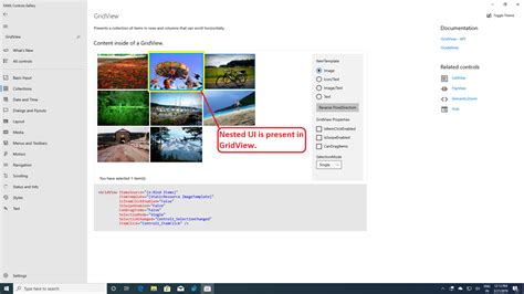Nested UI Is Present In GridView Issue Microsoft WinUI Gallery GitHub