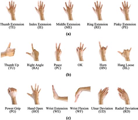 Figure 2 From Electromyography Based Gesture Recognition Is It Time To