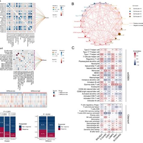 Consensus Clustering Analysis And Preliminary Functional Modality