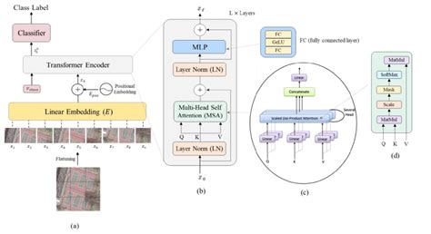 从零开始手把手搭建，手写vision Transformer学习笔记