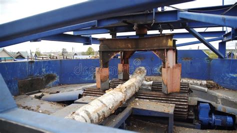 automated log sorting line wheel loader and automatic sorting logs diameter at the sawmill