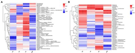 Frontiers Synergistic Effect Of Bacillus Subtilis And Paecilomyces Lilacinus In Alleviating