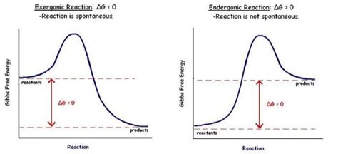 Chemical Equilibrium