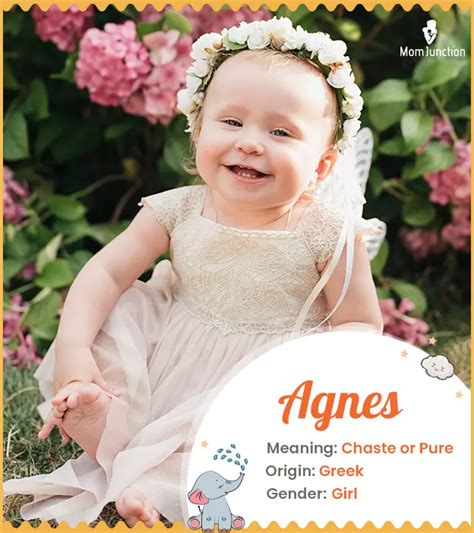 Agnes Name Meaning Origin And Popularity Comprehensive Guide