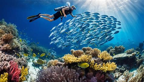 Top Snorkeling Spots 10 Best Beaches To Snorkel In California